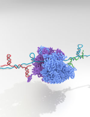 That’s a switch! Synthetic circuits regulate gene expression | AZBio