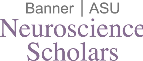 Applications for the Banner-ASU Neuroscience Scholars Program are open ...